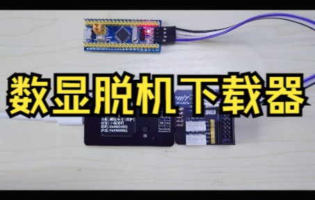 维特智能STM32 GD32开发脱机下载器SWD数据加密编程器程序烧录