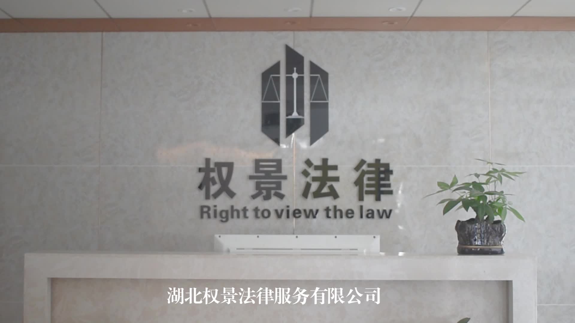 湖北权景法律服务有限公司宣传片