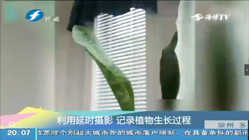 利用延时摄影,记录植物生长过程,效果令人震撼