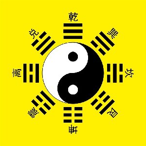酉生丽水 