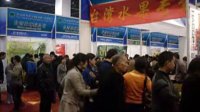 对联批发 对联年画 门神 门神批发 门神厂家 门神 铜版纸卡纸立体