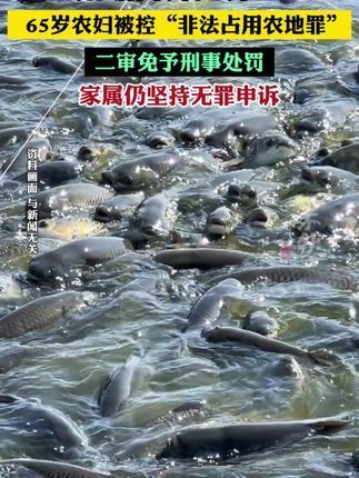 永州65岁农妇挖塘养鱼被控非法占用农地进展:二审免予刑事处罚,仍...