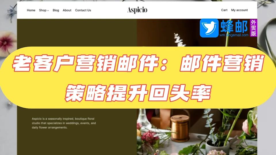 老客户营销邮件:邮件营销策略提升回头率! 老客户营销邮件撰写指南?...