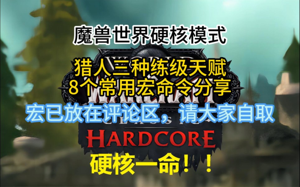 第1期:魔兽世界硬核模式猎人三种练级天赋,8个常用宏命令分享,宏已...