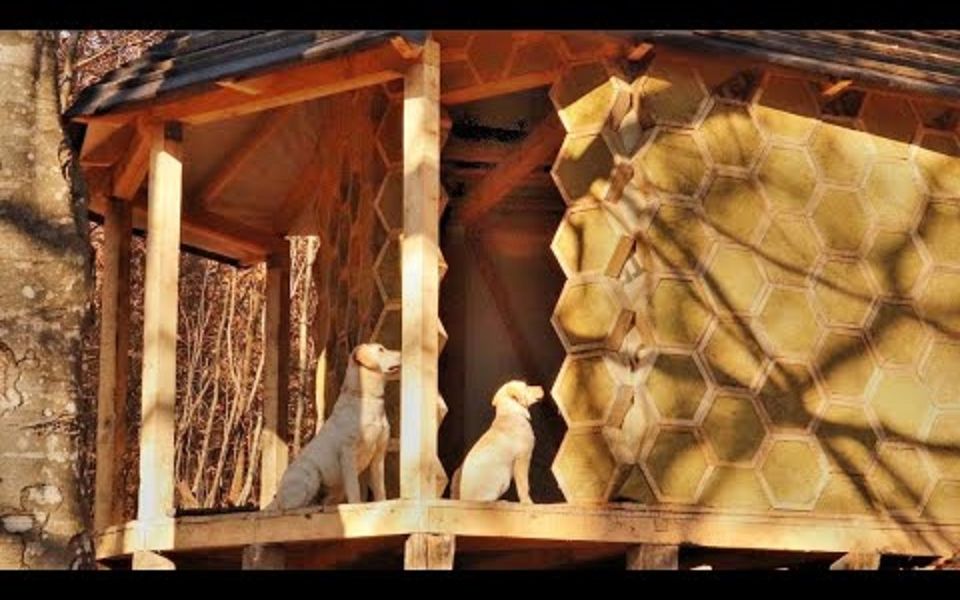 【Bogdan in the forest】在森林里建房子。不寻常的项目第二部分