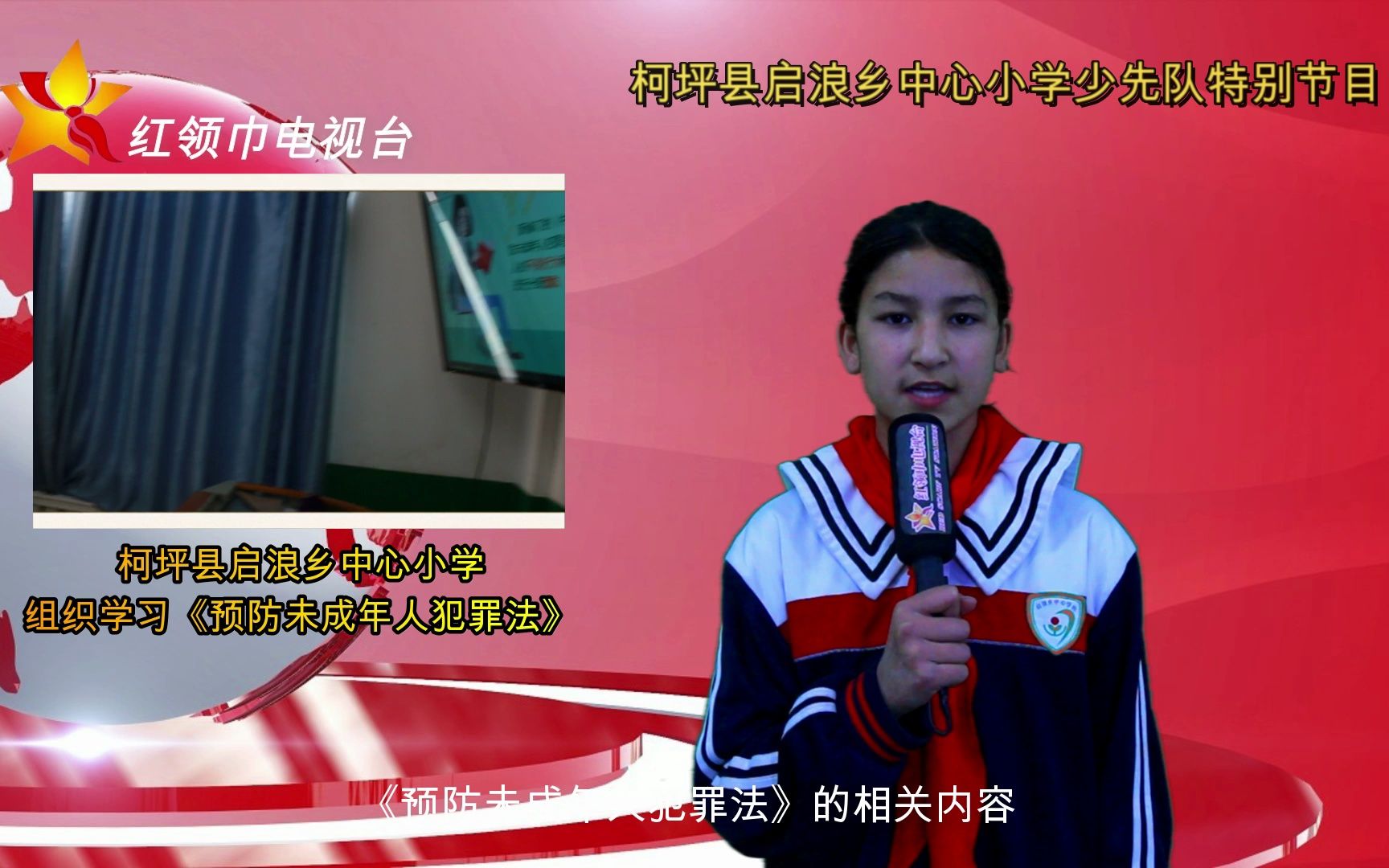 学习《中华人民共和国预防未成年人犯罪法》高清