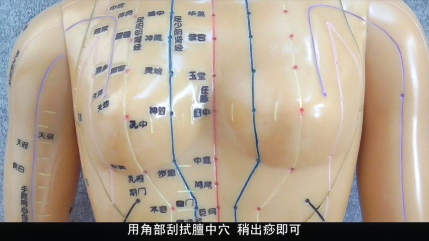 膻中穴功效:舒畅心胸主治疾病:呼吸困难,心悸,心绞痛,胸痛等