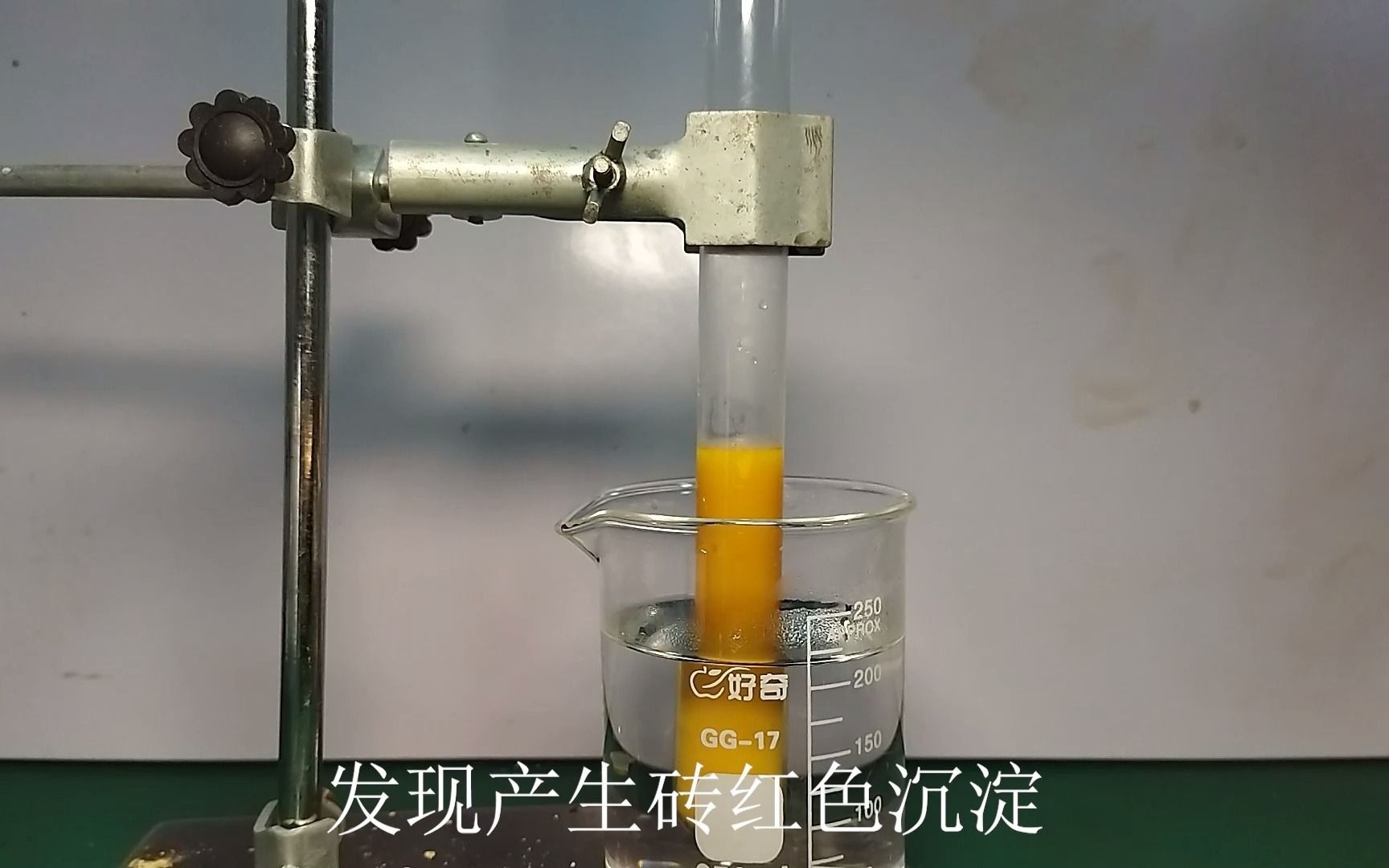 斐林试剂检验还原糖及容量瓶的使用