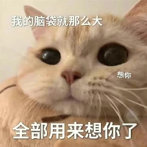 叫兽星语 