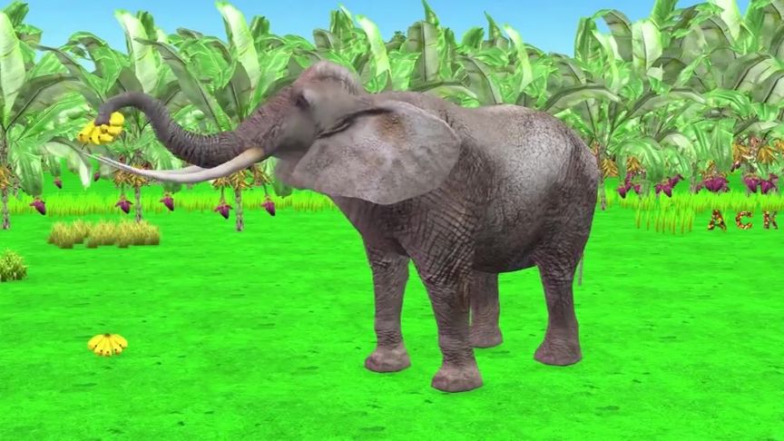 森林里的小动物介绍