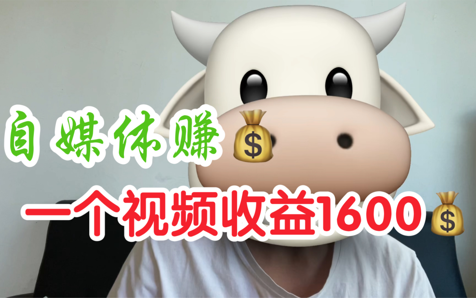 一万播放量是多少钱?昨天视频65万播放,收益1600元