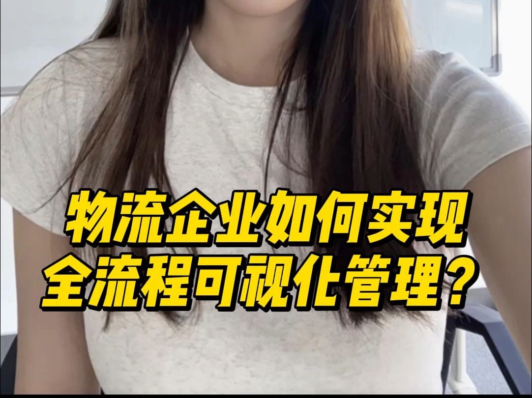 物流企业如何实现全流程可视化管理?