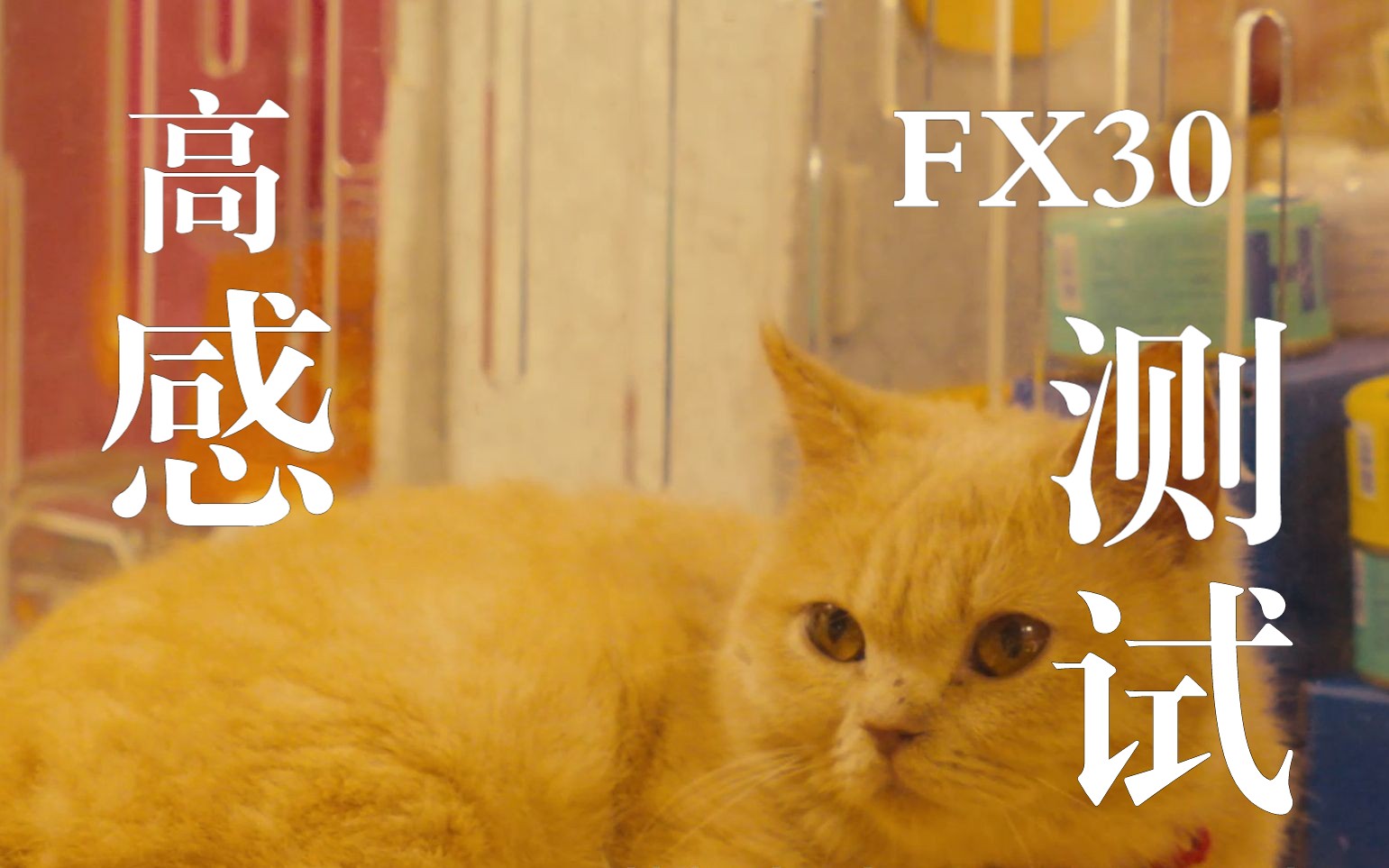 FX30夜晚高感测试,求大佬指导