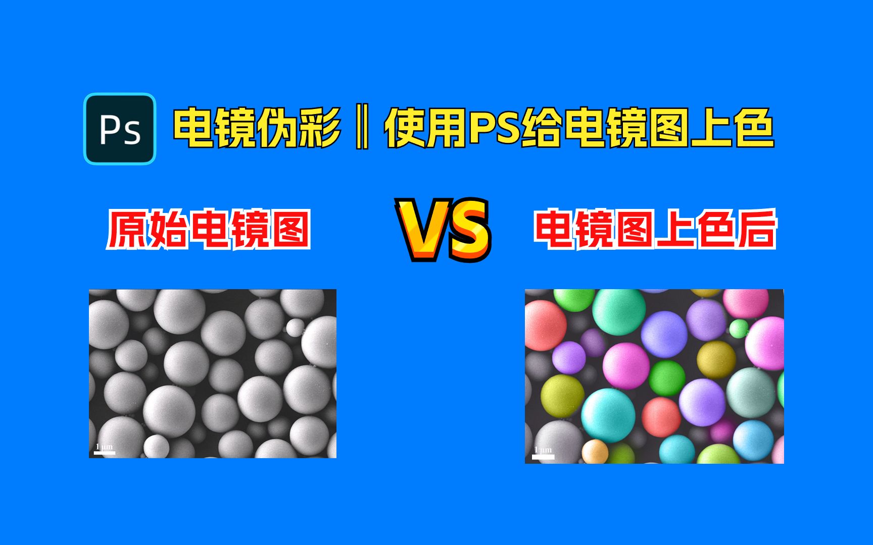 电镜伪彩‖使用PS给电镜图上色