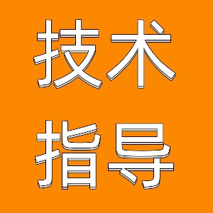 阳阳正正 