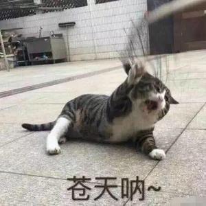 肚子空空空