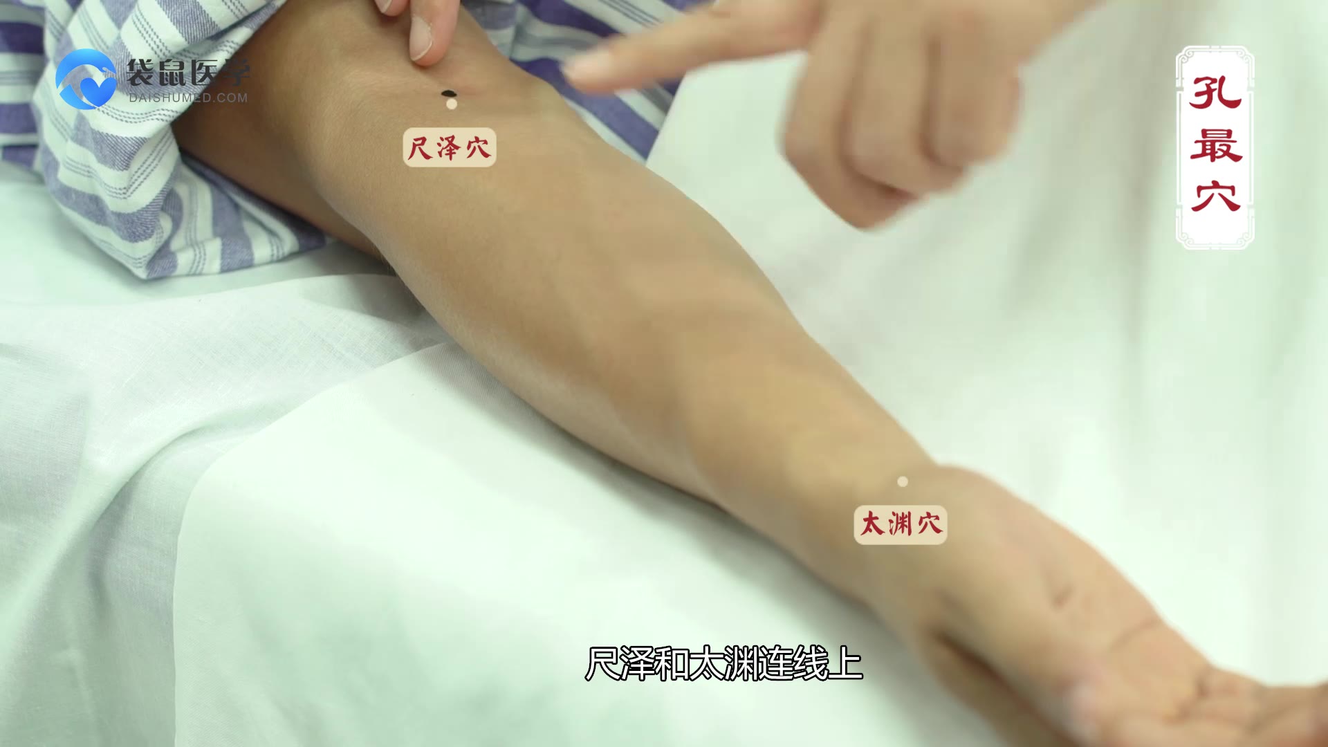 每日一穴—孔最穴