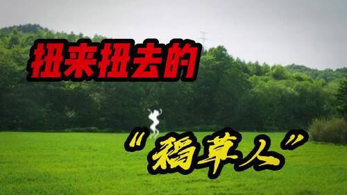 夏天田间出现的诡异"稻草人"