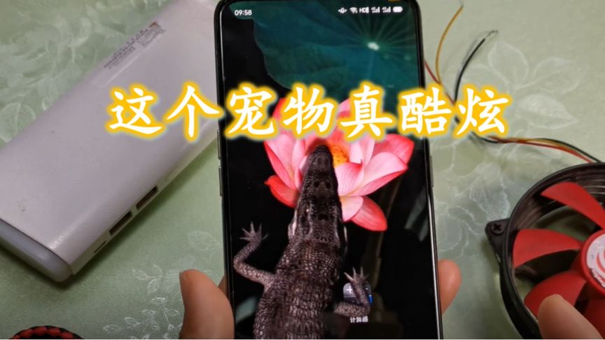 手机桌面酷炫挂件就是它!不仅会动还会发出声音,别人看见都点赞