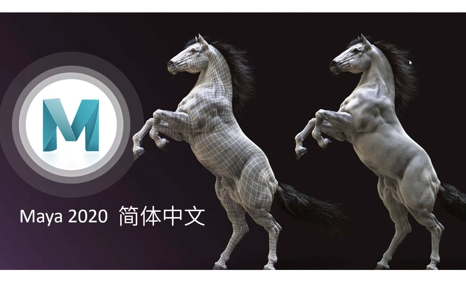 Maya 2020软件简体中文版安装激活教程永久使用