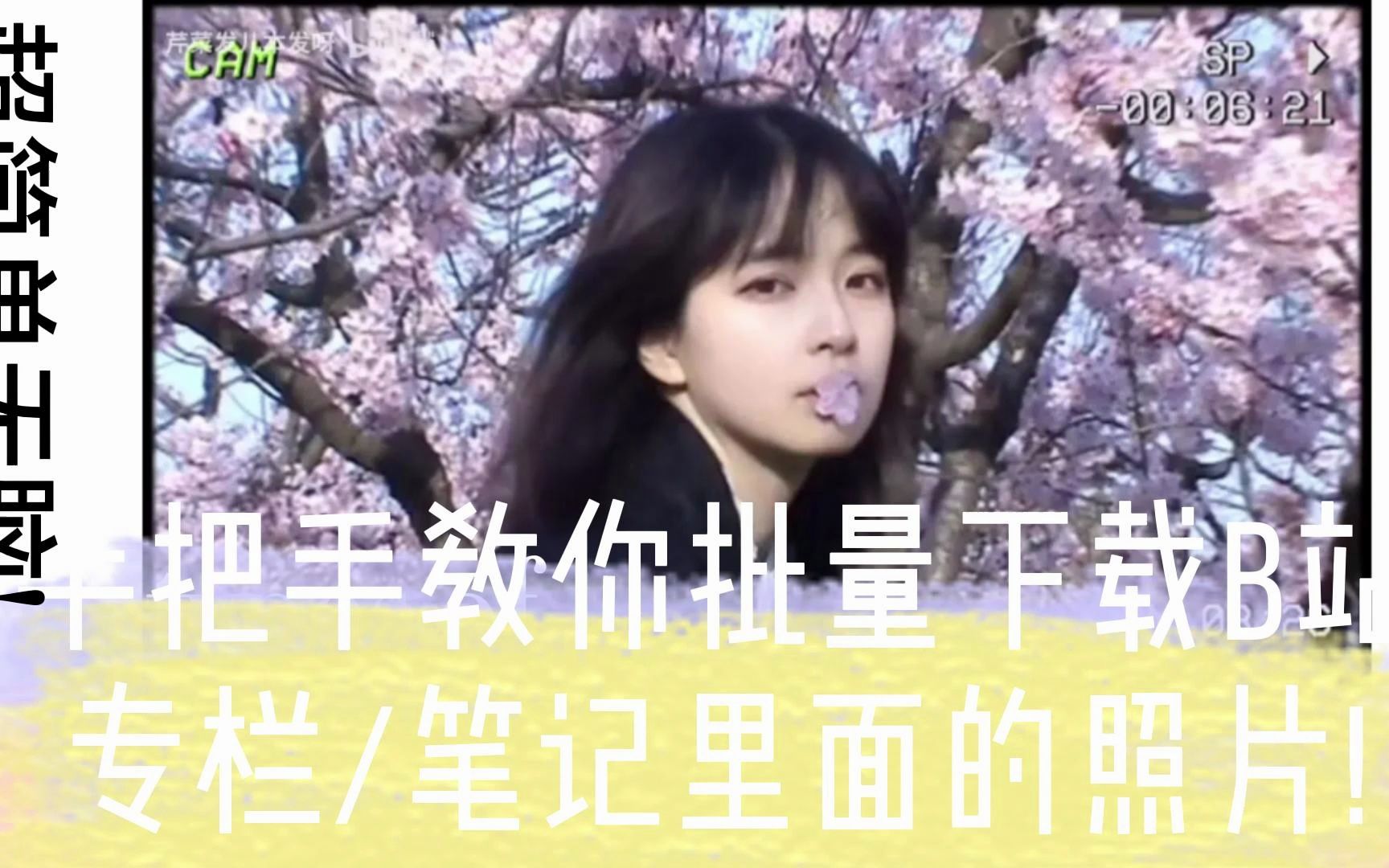 手把手教你批量下载b站专栏 笔记里面的照片!超简单无脑!