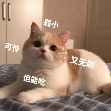 以心换心66680 
