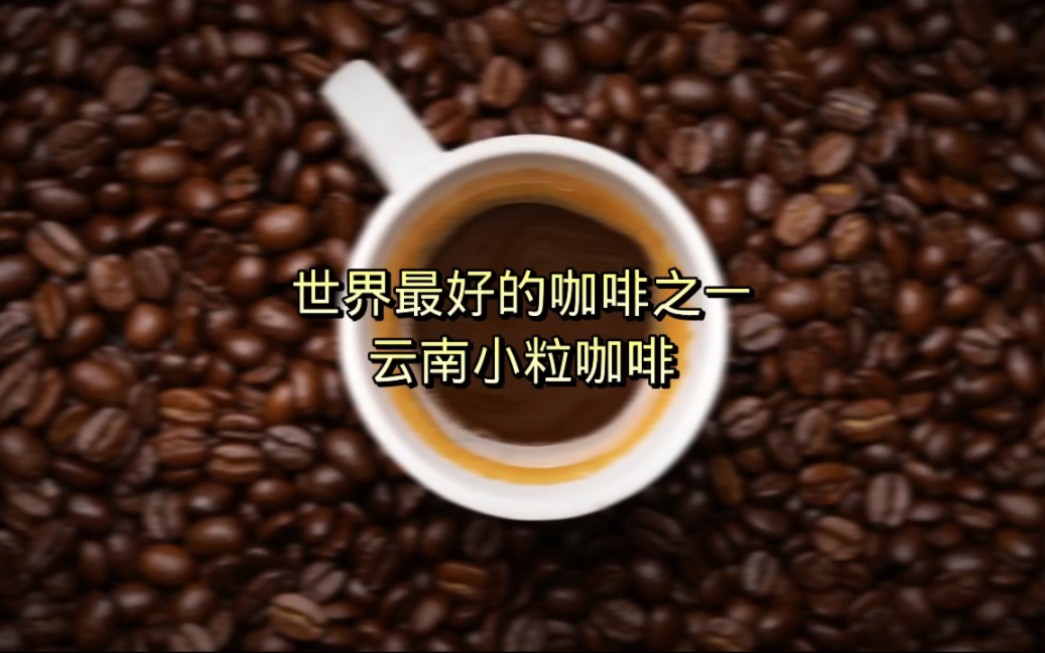 世界最好的咖啡之一,云南小粒咖啡#世界