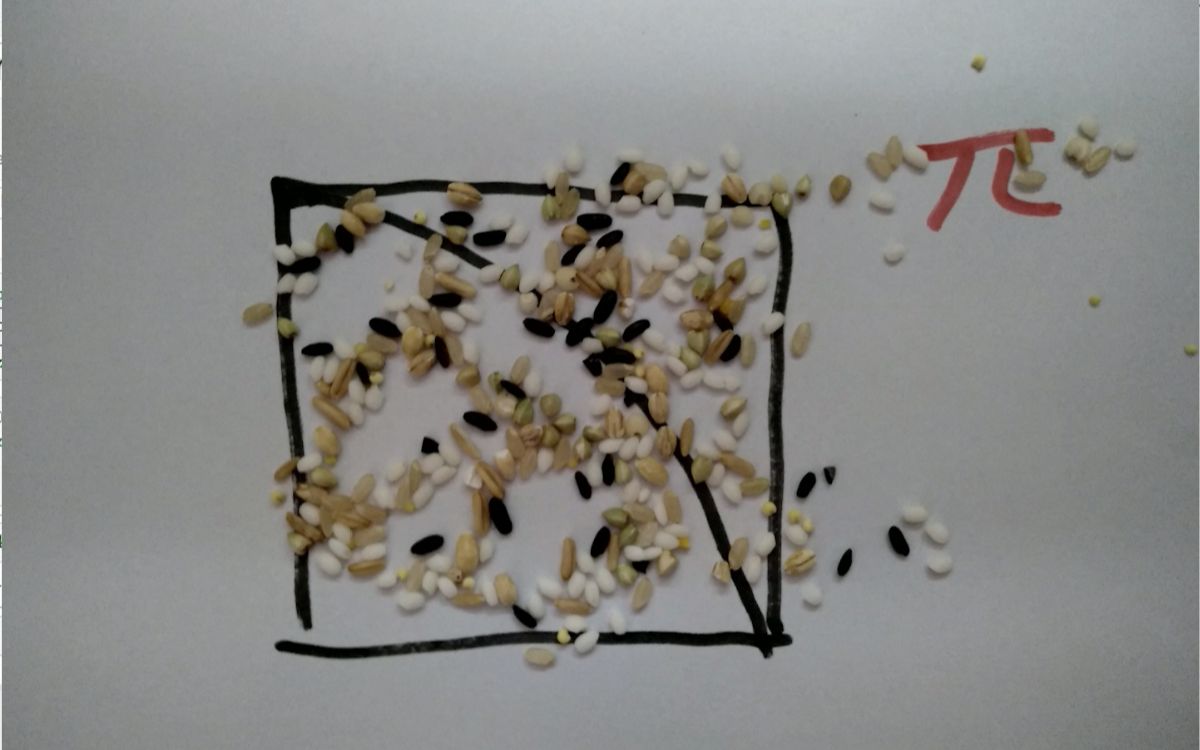 你见过用一把米计算出圆周率吗?