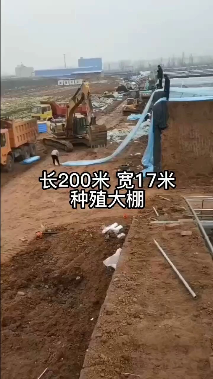 支持定制 多种类型规格按需定制 #农业种植大棚 #湖北农业种植大棚 #...
