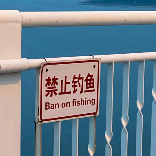 在下刘十三 