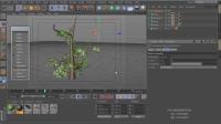 C4D制作树木生长动画3 C4D教程