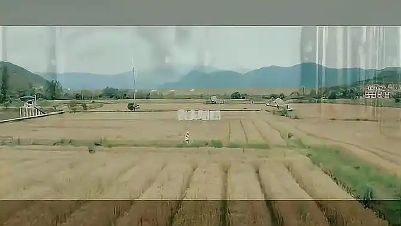 你的乡村振兴项目发展缺资金嘛?来看看袁夫稻田的众筹模式,500 ...