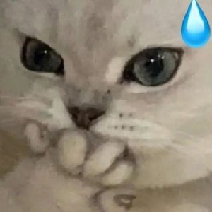 不许揪我耳朵啦 
