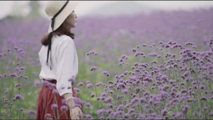 中长焦镜头+稳定器制造视频的空间压缩感,拍摄如画般的美人美景