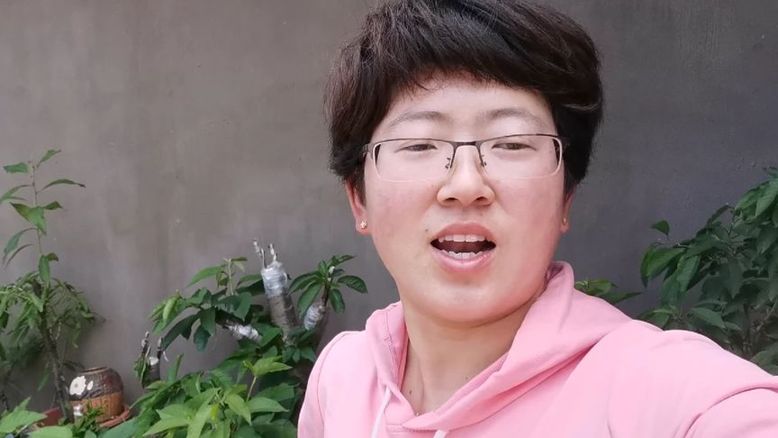 现代农业桃树种植的新模式