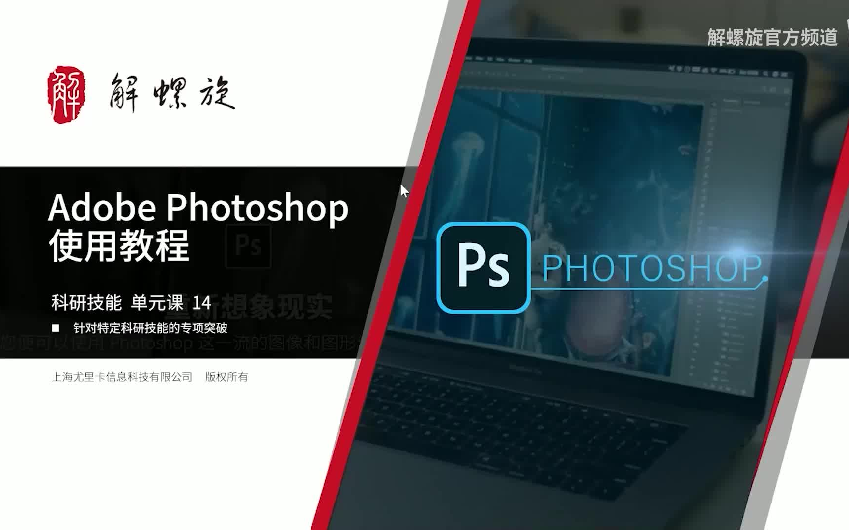 PS科研作图_喂饭式教程