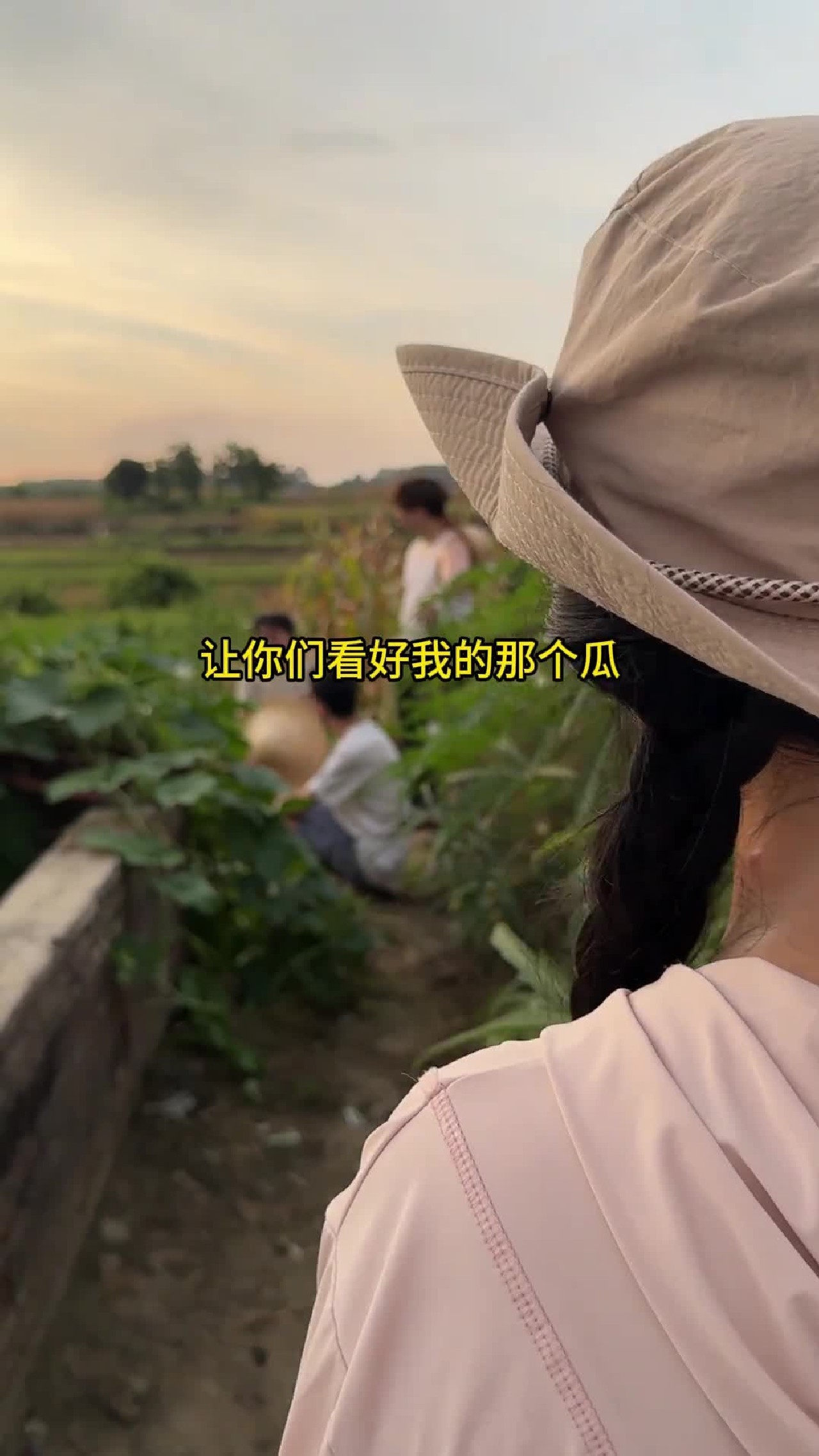 农学生的毕业论文守卫战正式开始了 #农学