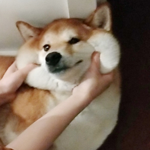 乇莉tori 