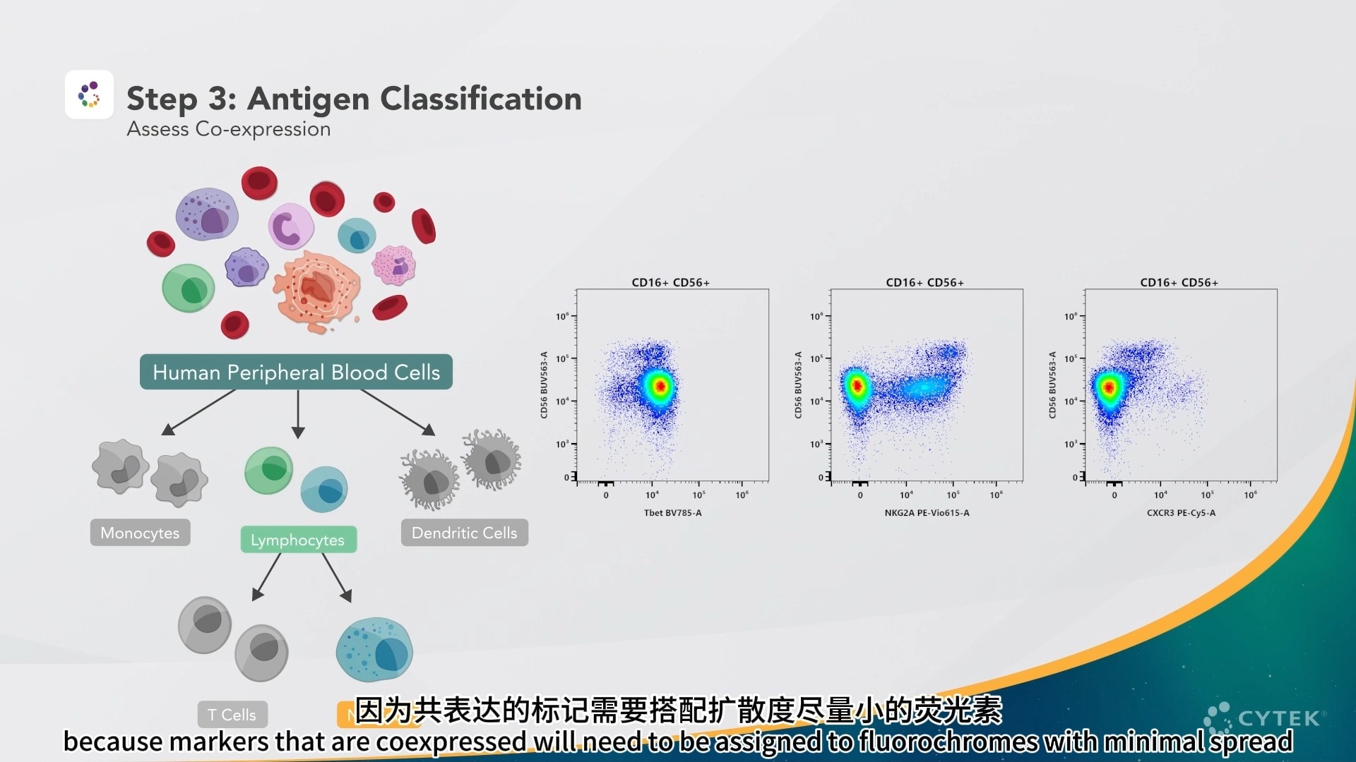 Cytek全光谱流式细胞仪,满足科研人员广泛而多样的实验应用需求,引领...