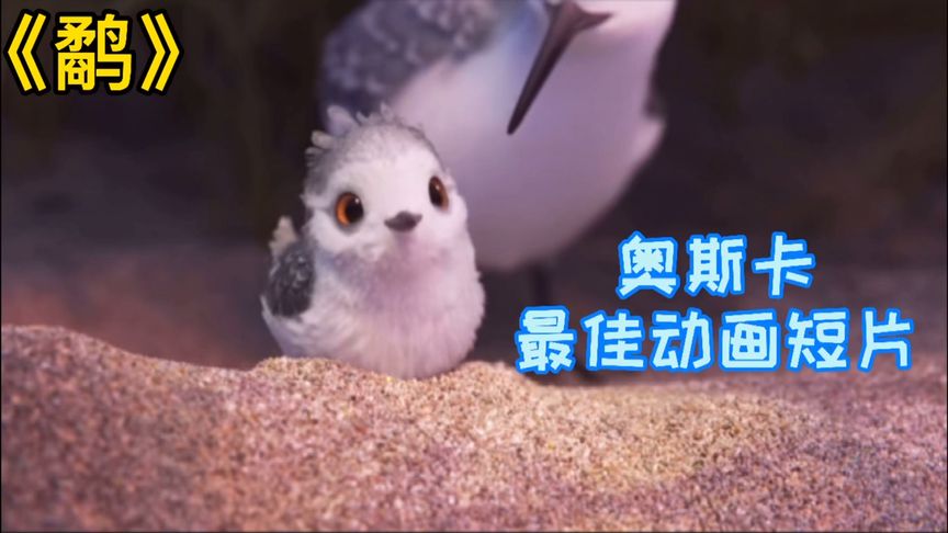 萌化了,奥斯卡最佳动画 教育励志短片