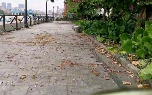 怎么骑电动车教学视频大全第十三课