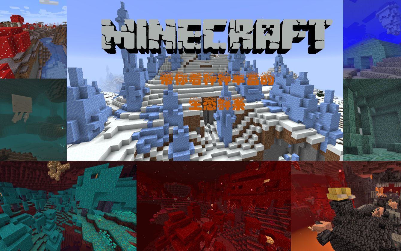 【我的世界Minecraft】无缝剪辑!13分钟带你看遍Minecraft中的种种...