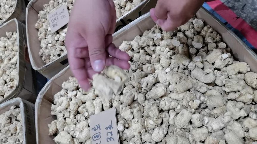 西洋参软支和硬支的区别#西洋参 #真材实料 #保健食品 #吃出健康