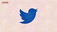 推特更改新标志 Our New Twitter Bird