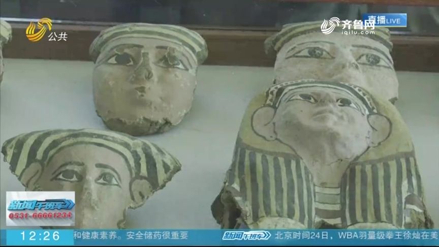 考古新发现!埃及出土数十具距今约2700年的动物木乃伊,快来瞅瞅