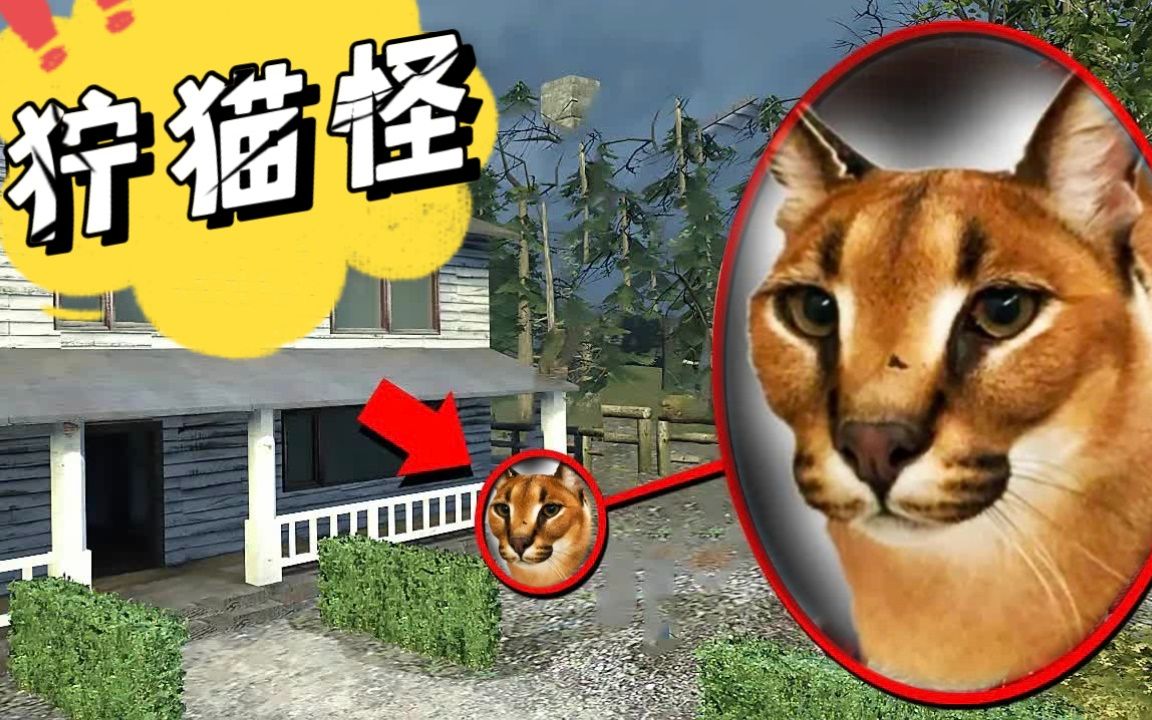 盖瑞模组:大狗进入深山保护动物,被狞猫盯上成了猎物!