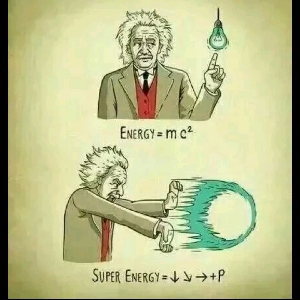 南方的西伯利亚金渐层 