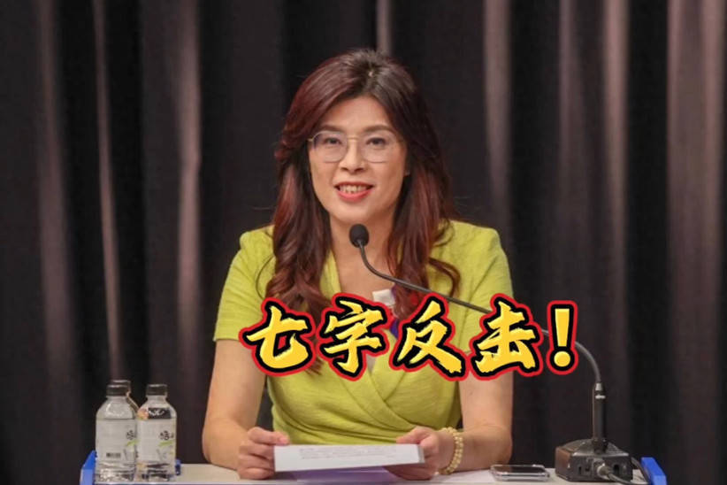 郑丽文说想访问大陆,民进党赶紧发声阻扰,郑丽文用七个字反击