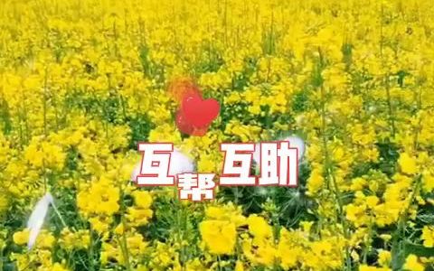 拼多多免费互砍微信群,拼多多砍价群微信群免费进