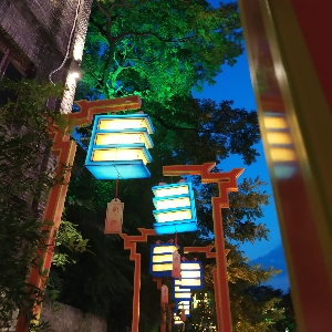 铁骨铮铮钓鱼佬 